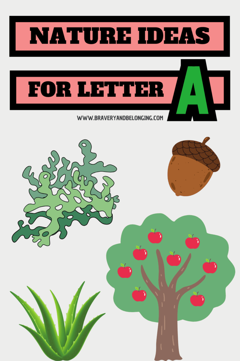 Objects That Start With The Letter A (100+ Ideas)