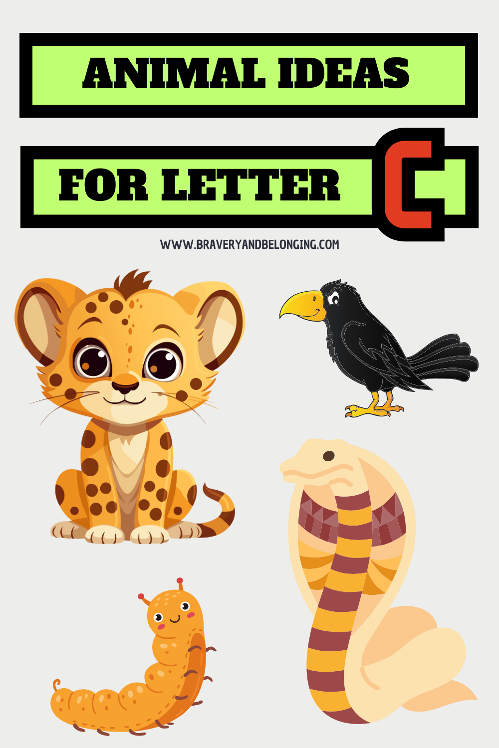 Objects That Start With C (120+ Ideas)