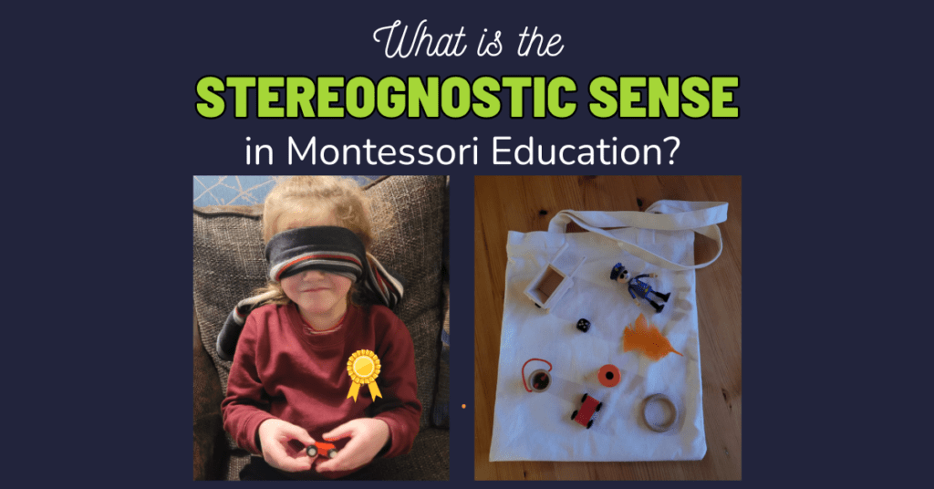 What is the Stereognostic Sense in Montessori? (Activities Included)