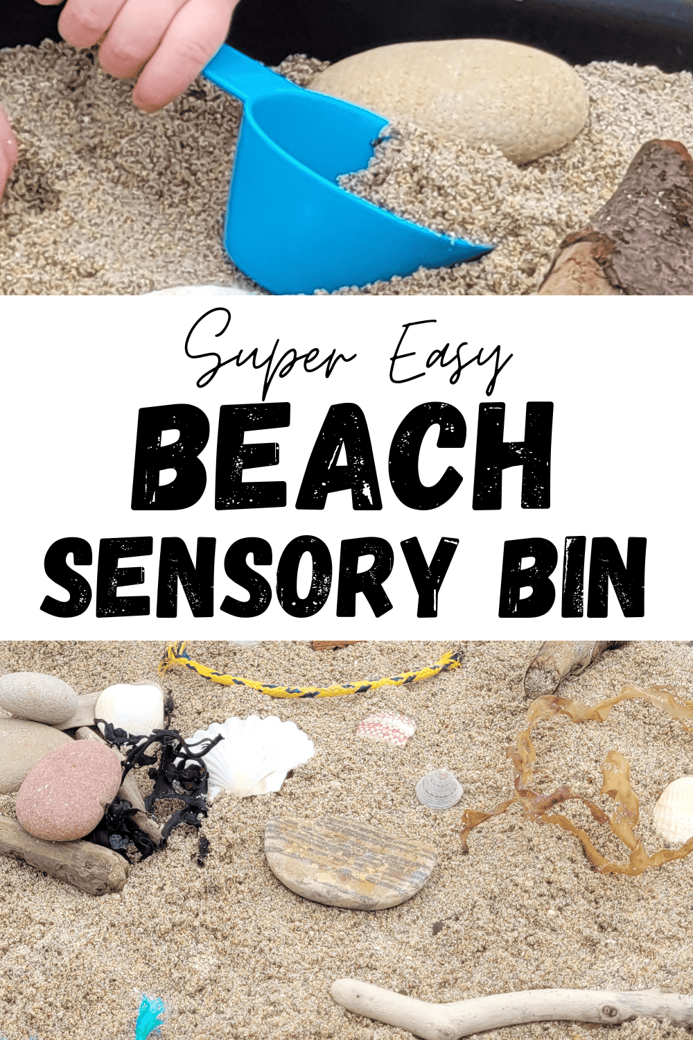 10+ Easy Summer Sensory Bin Ideas to Try Right Now!