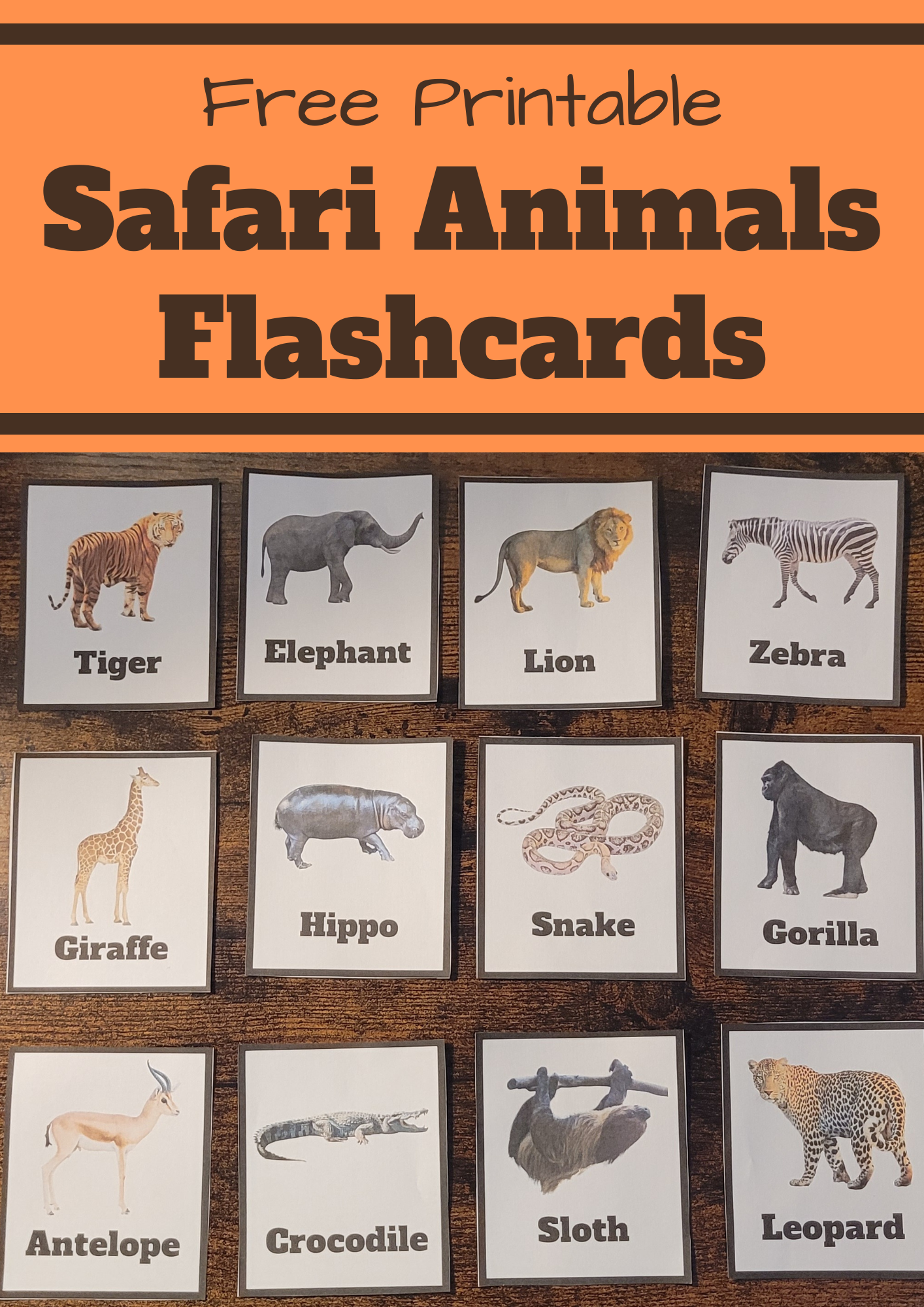 Wild Animals Flashcards Free Printable with Safari Sensory Bin