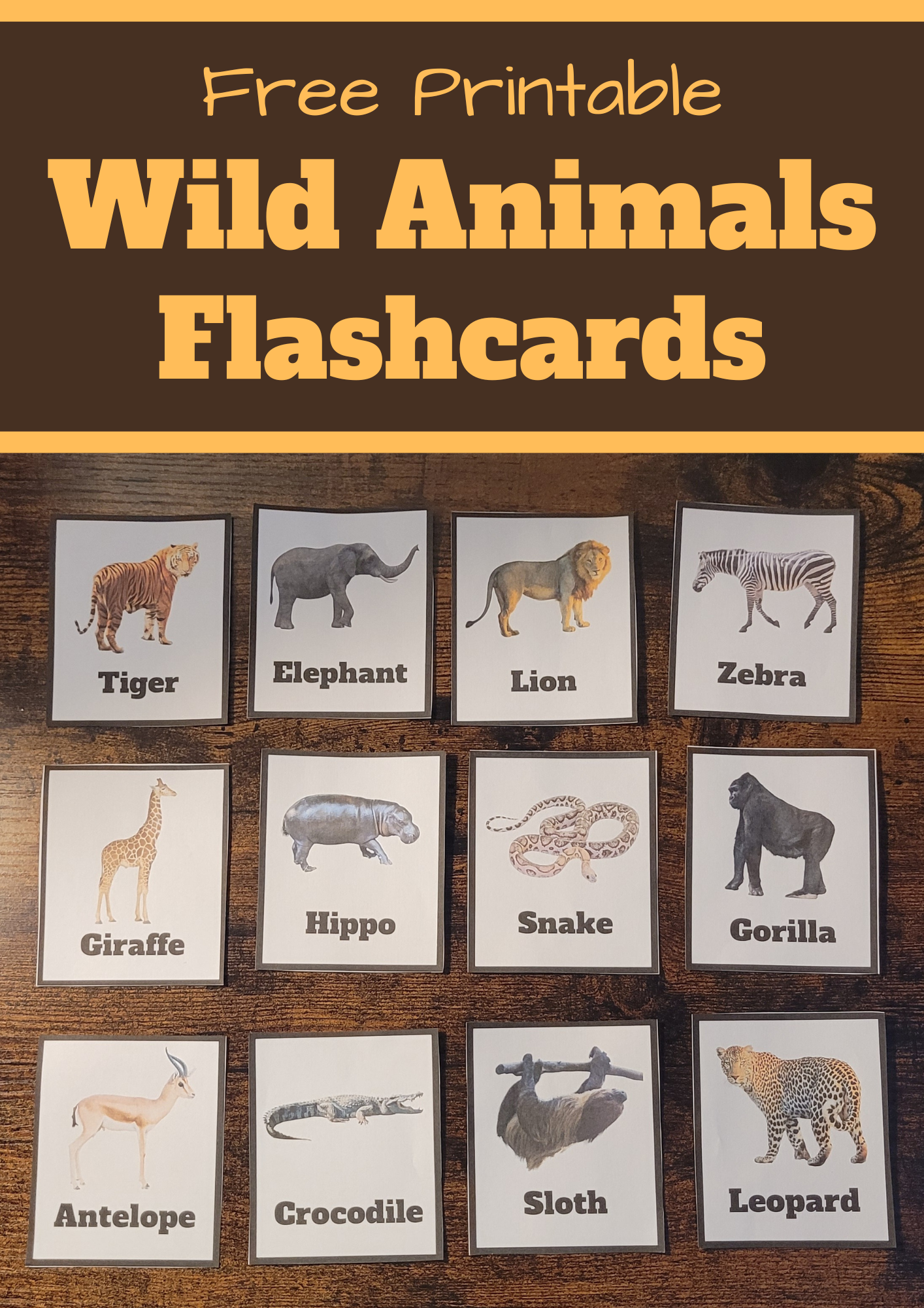Wild Animals Flashcards Free Printable with Safari Sensory Bin