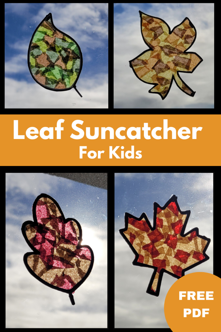 25+ Easy DIY Suncatchers for Kids