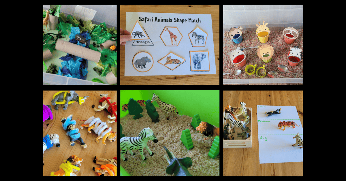 10+ Safari Activities for Preschool