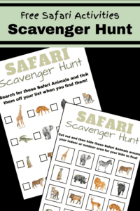 10+ Safari Activities for Preschool