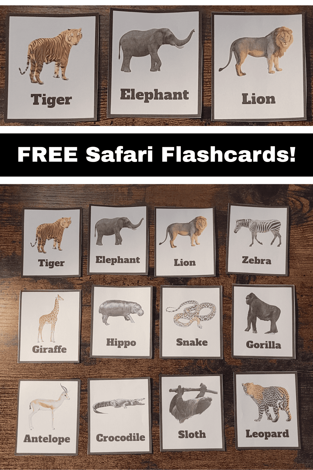 10+ Safari Activities for Preschool