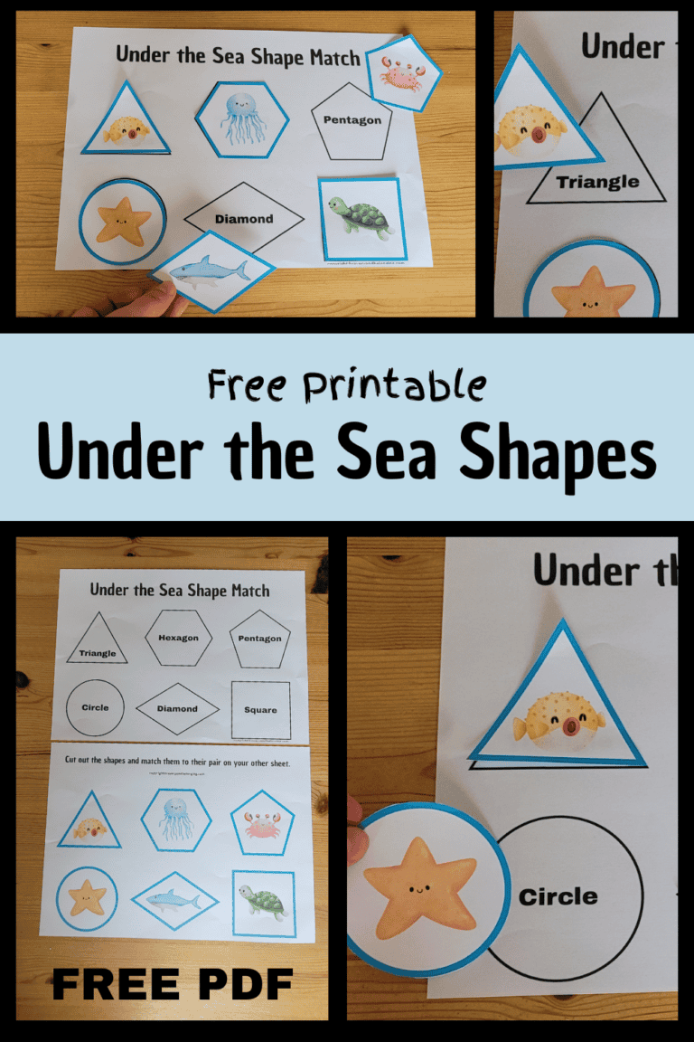 Free Under the Sea Shape Match