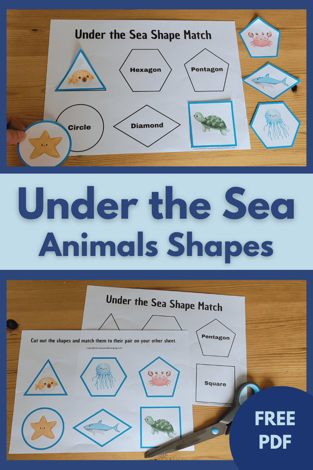 Free Under the Sea Shape Match
